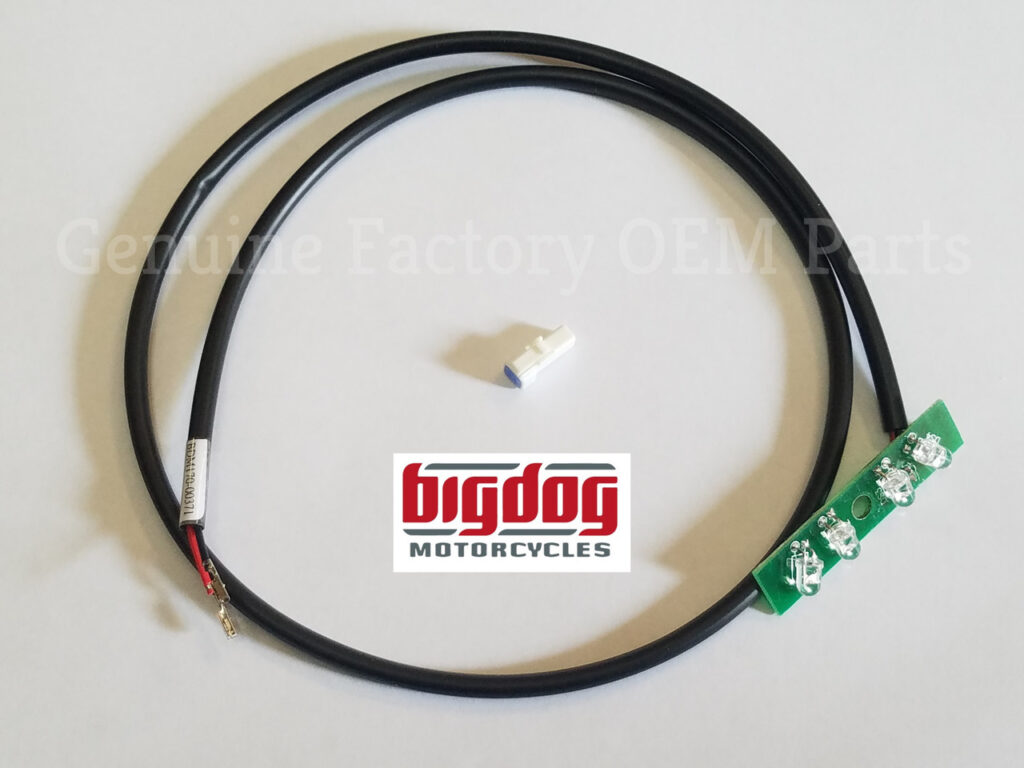 Big Dog Motorcycles License Plate LED Tag Light 2003-11